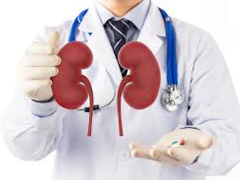 Best Renal Failure Doctor in Kolkata: Complete Kidney Failure Care ...
